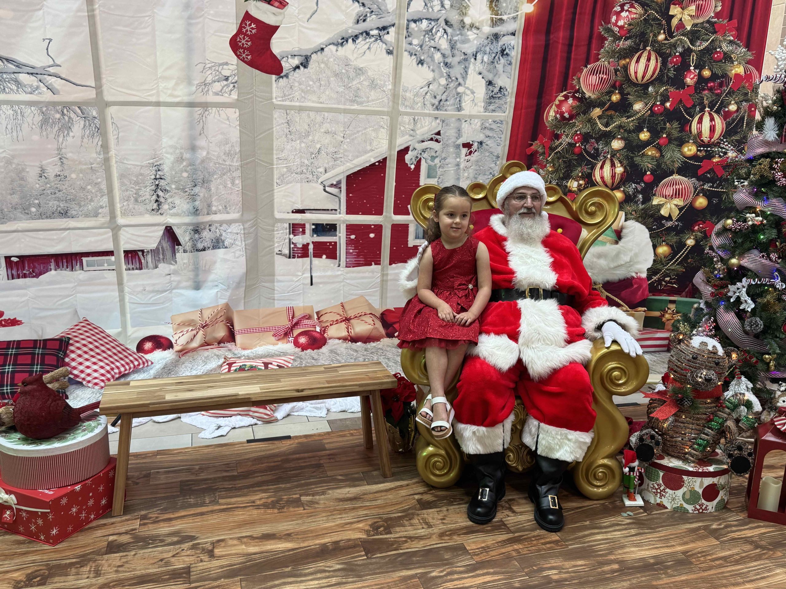 Photos with Santa | Southland Mall